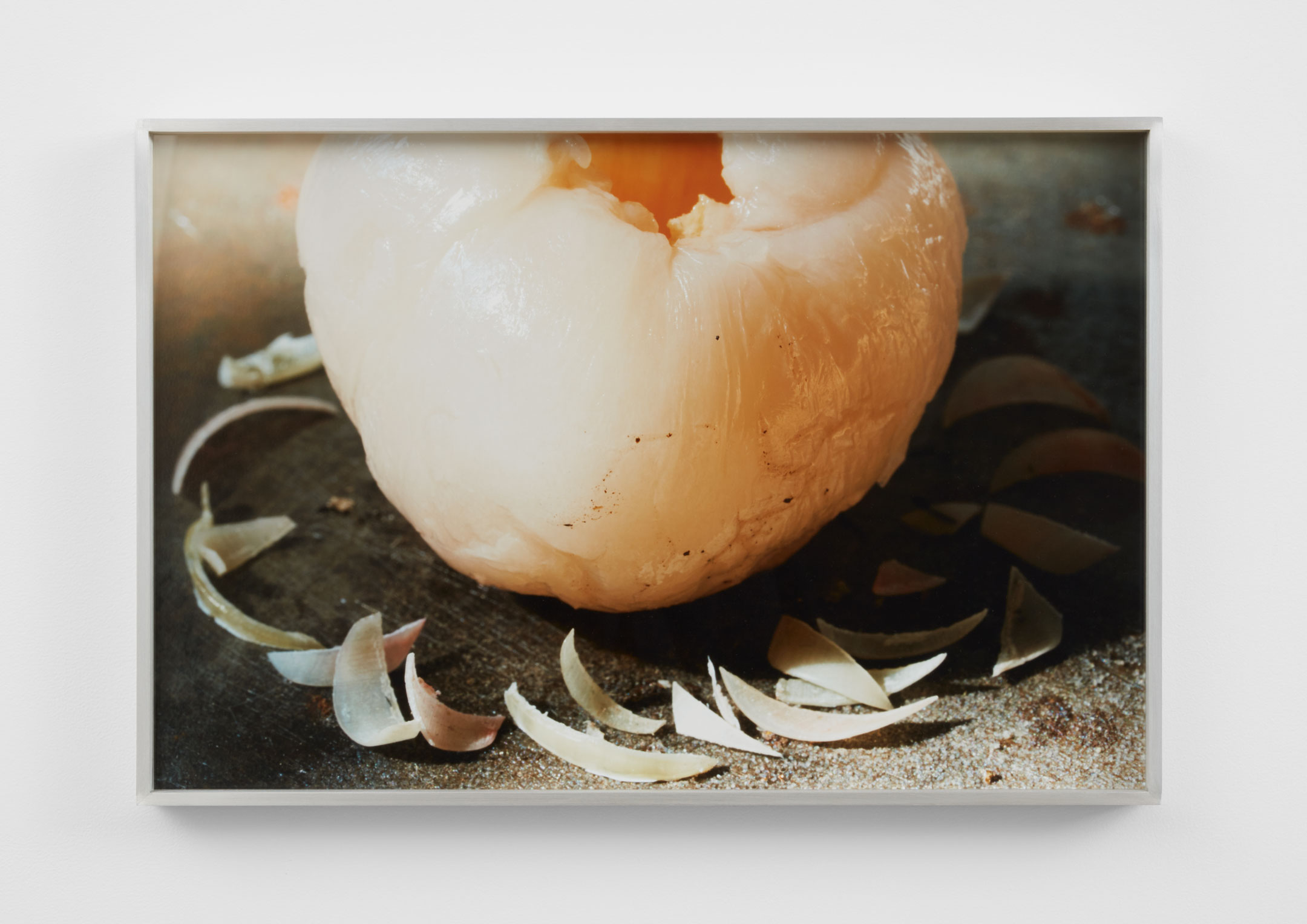 Empty Gallery – Diane Severin Nguyen