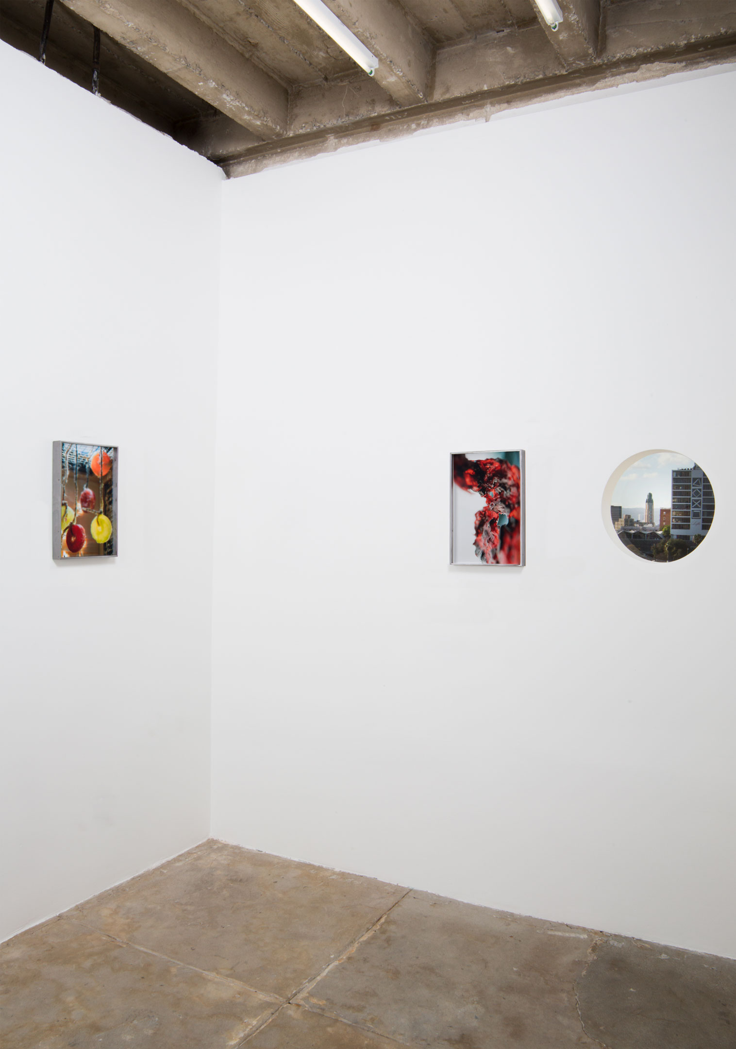 Empty Gallery – Diane Severin Nguyen