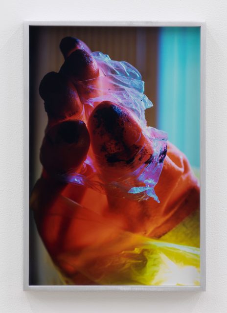 Empty Gallery – Diane Severin Nguyen